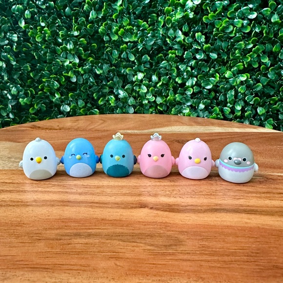Squishmallows | Toys | Squishalong By Squishmallows Bird Bundle | Poshmark